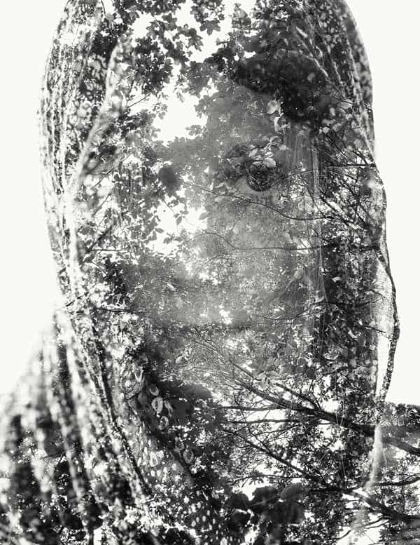 Multiple Exposures with Nature by Christoffer Relander