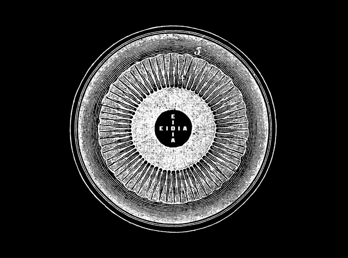 EIDIA HOUSE by Matt Delbridge | Design Ideas