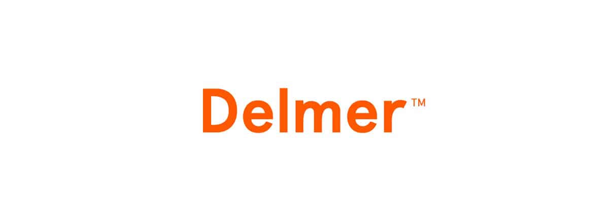 Delmer by Ty Dale | Design Ideas