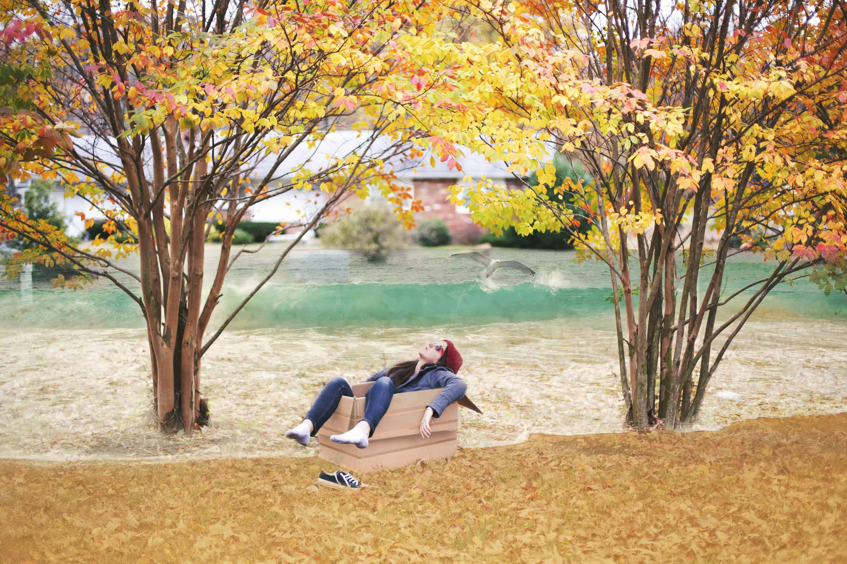 Box Adventures by Natalie Bloomfield | Design Ideas