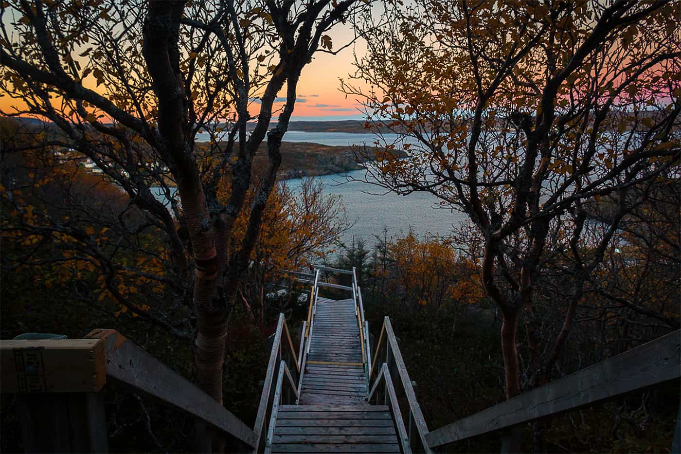 Jiani Goes To Newfoundland by Jiani Lu | Design Ideas