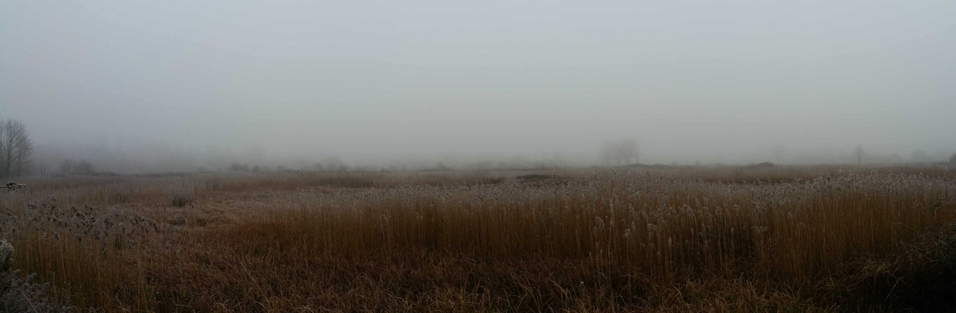 November Visualization by Vladislav Voskresenski | Design Ideas