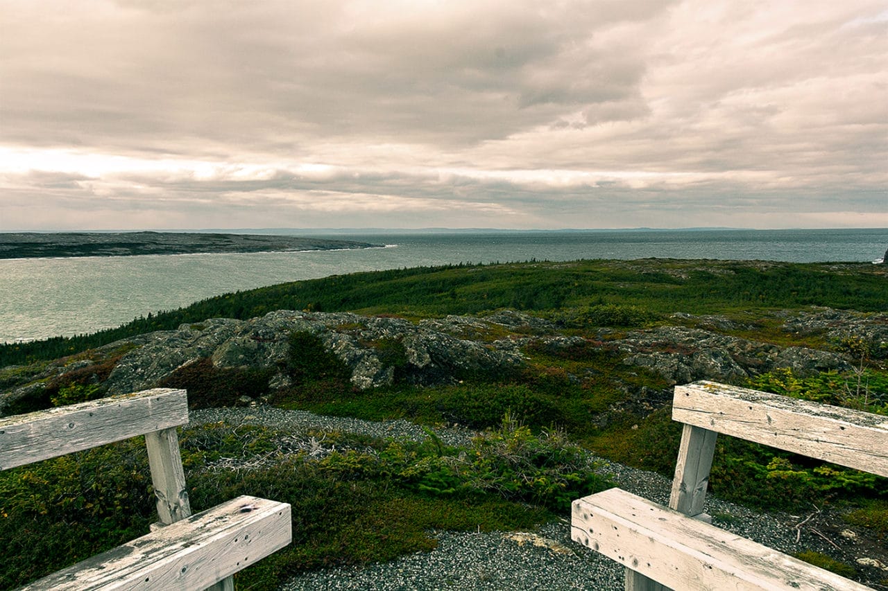Jiani Goes To Newfoundland by Jiani Lu | Design Ideas