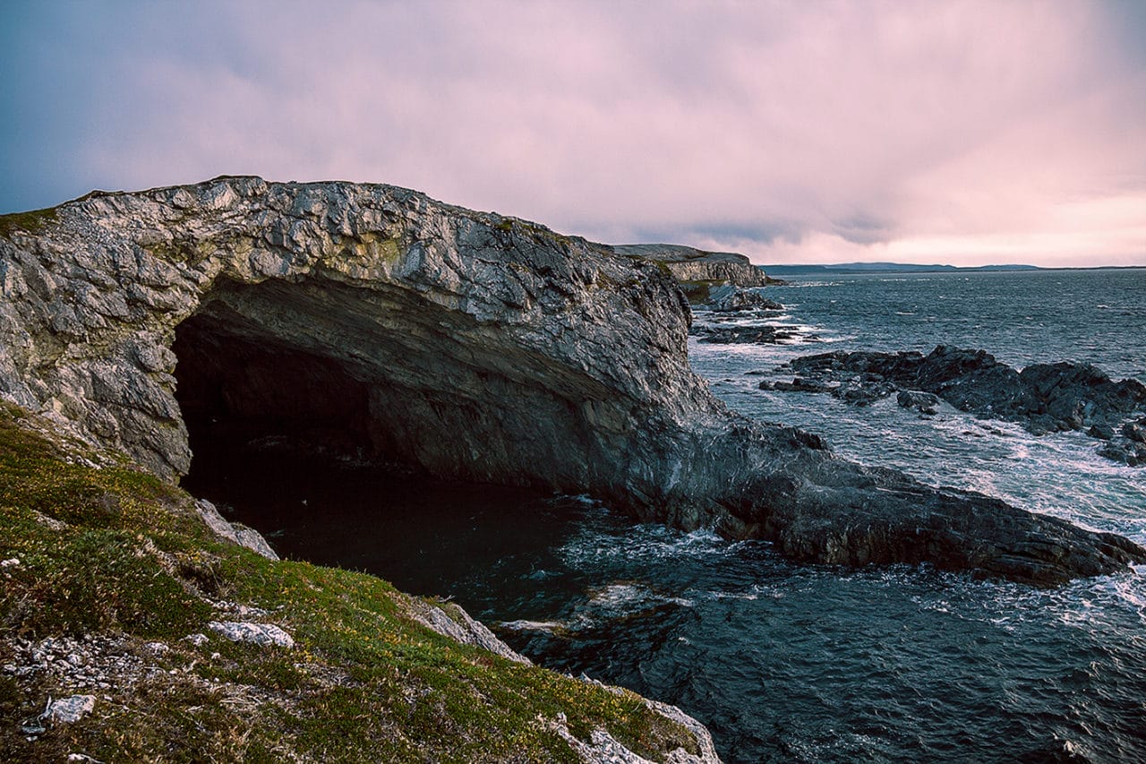 Jiani Goes To Newfoundland by Jiani Lu | Design Ideas