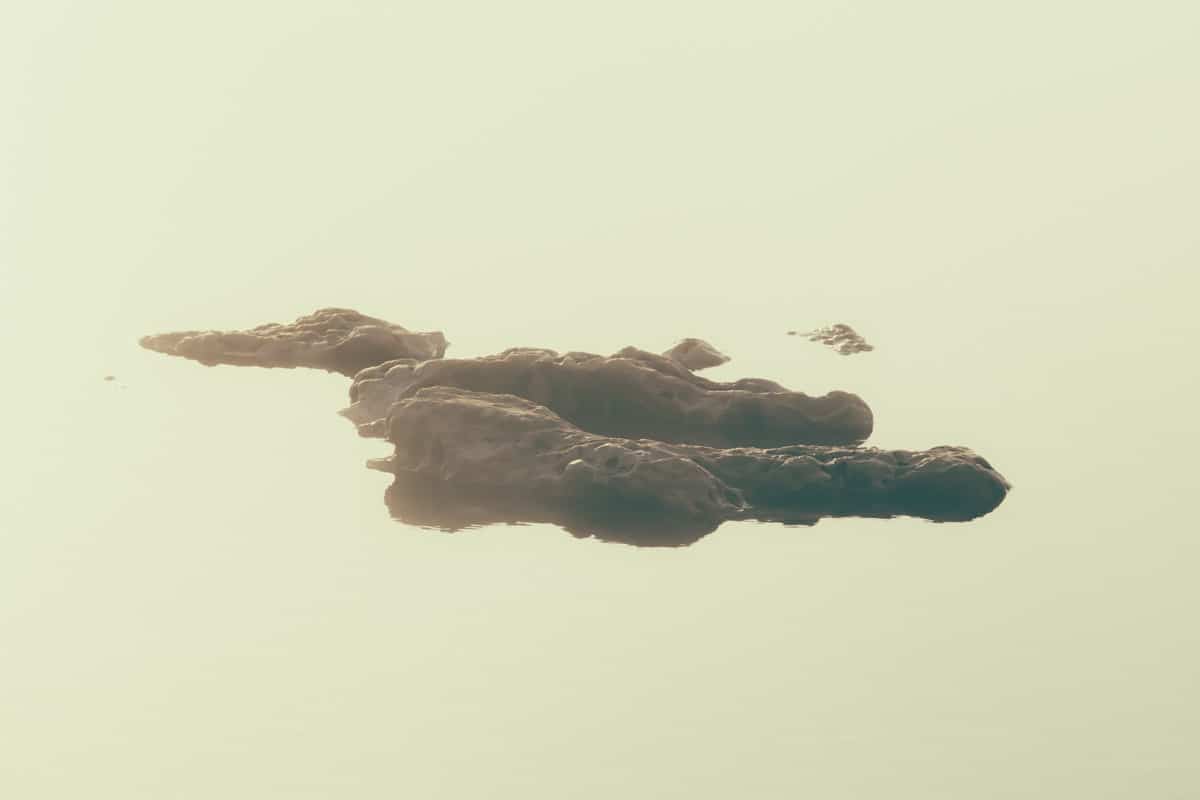 Amoreira by Lars Focke | Design Ideas