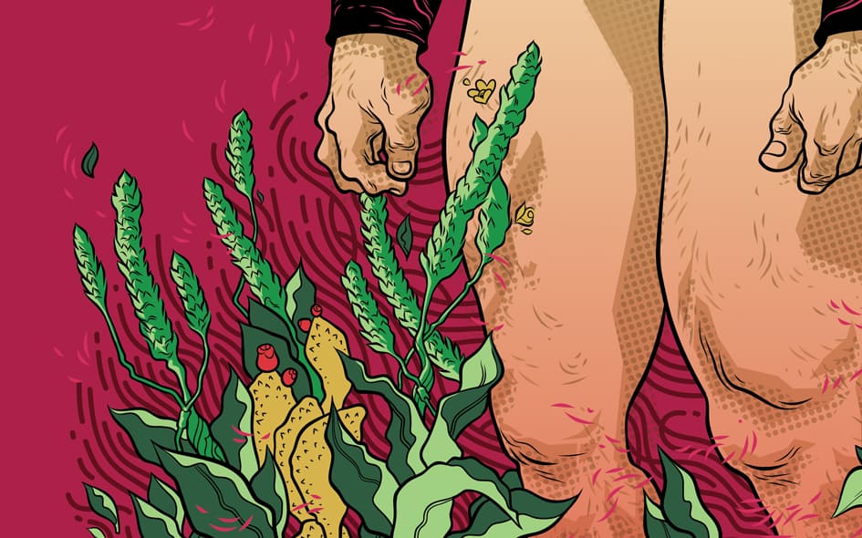 The Queen of Jello Fighting by Renato Munhoz | Design Ideas