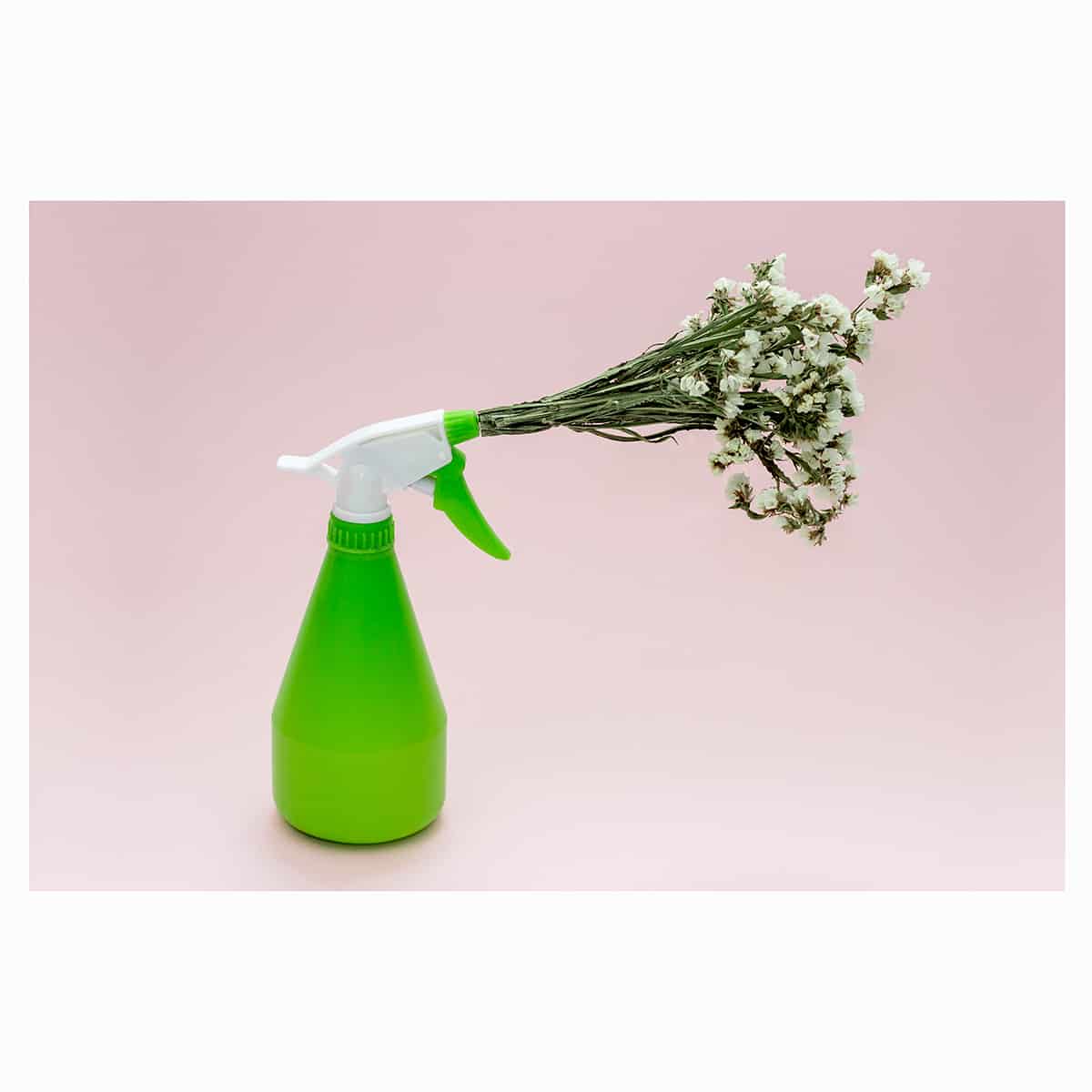 Minimal Still Life by Emese Kiss | Design Ideas