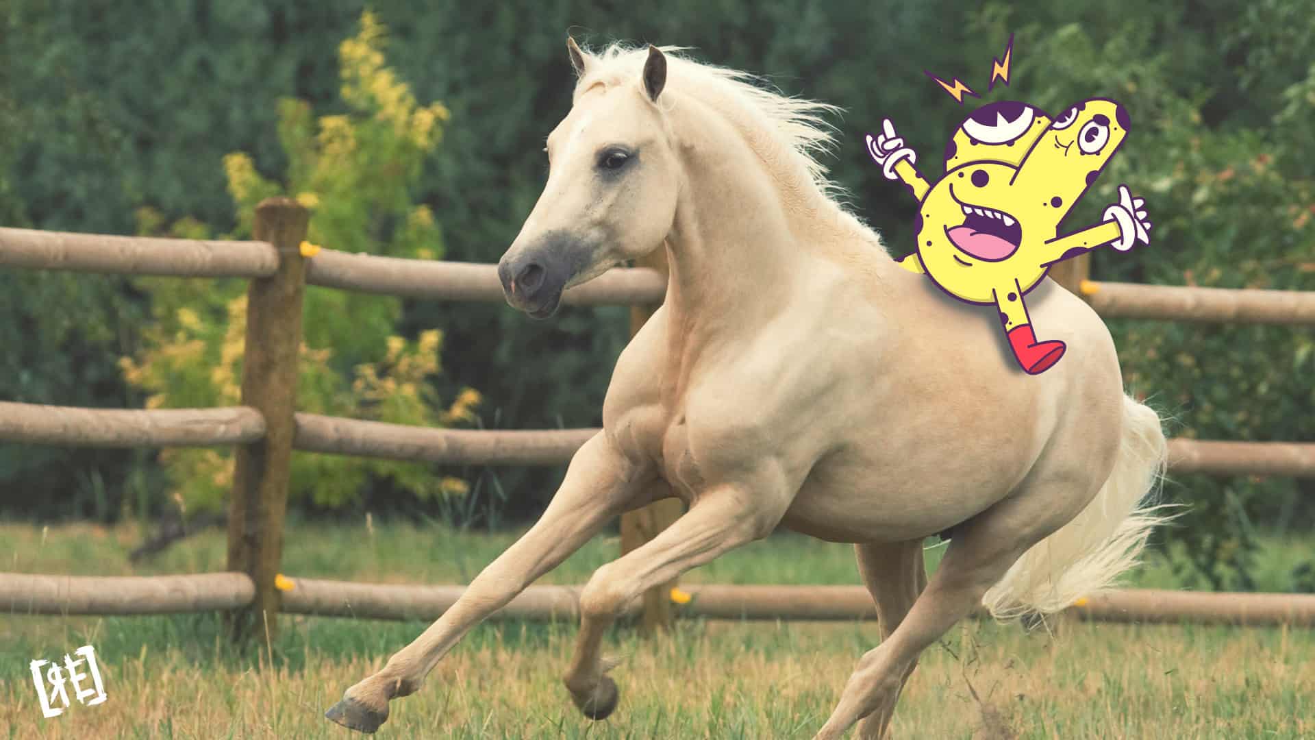 Monsters in Real Life by Reda El Mraki | Design Ideas