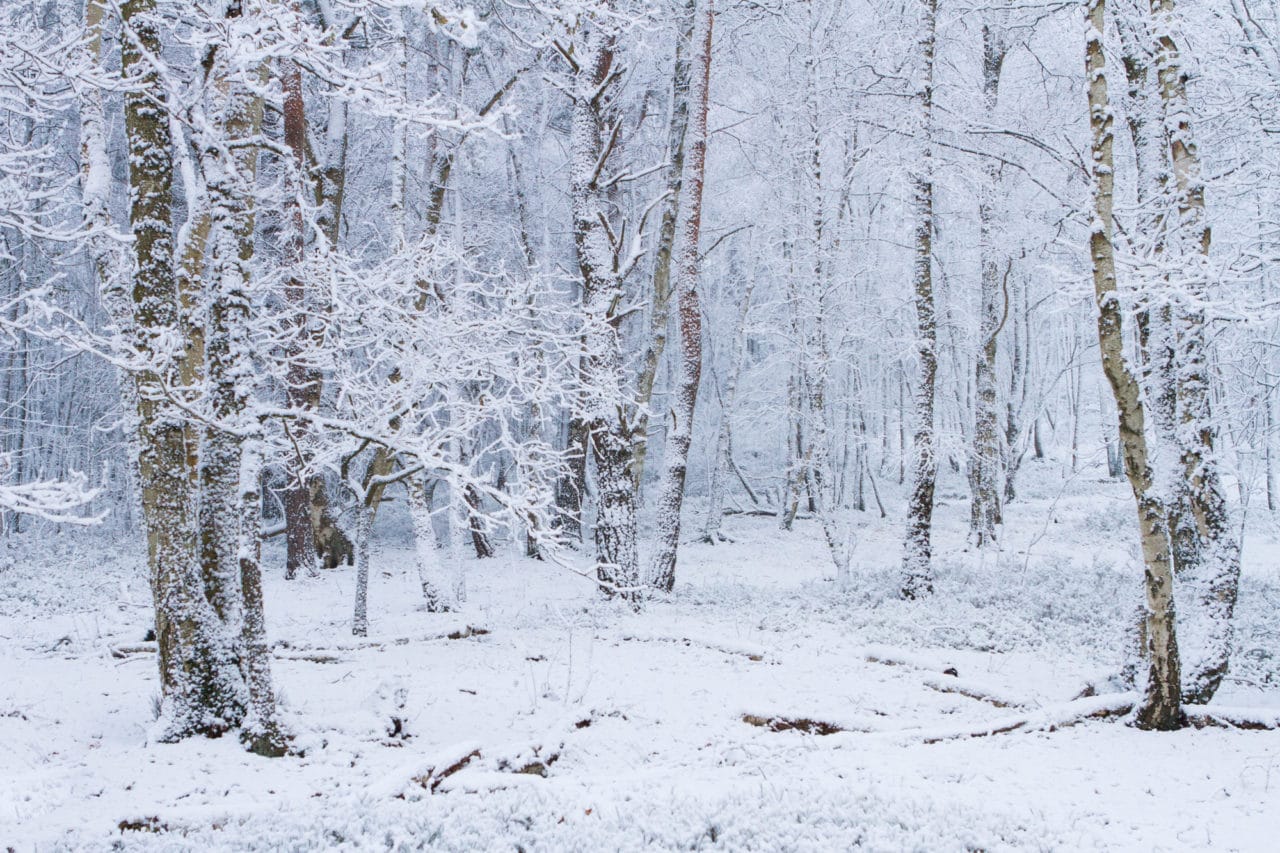 The Loneliness of the Long Distance Runner by Wanja Wiese | Design Ideas