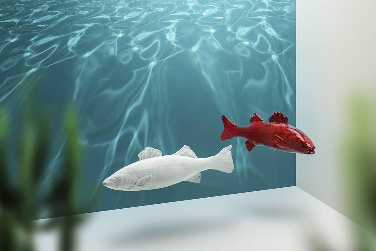 Amaaro! by Massimo Colonna | Design Ideas