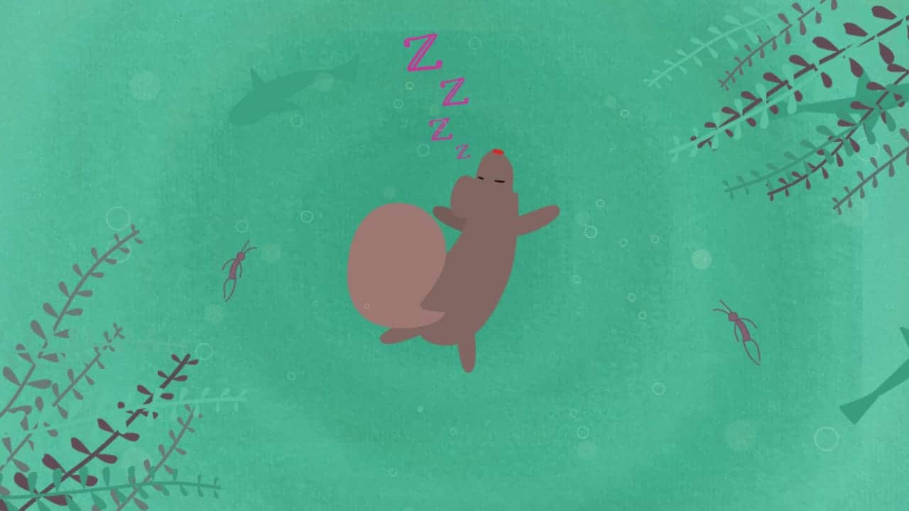 El lirón dormilón | the sleeping dormouse | Design Ideas