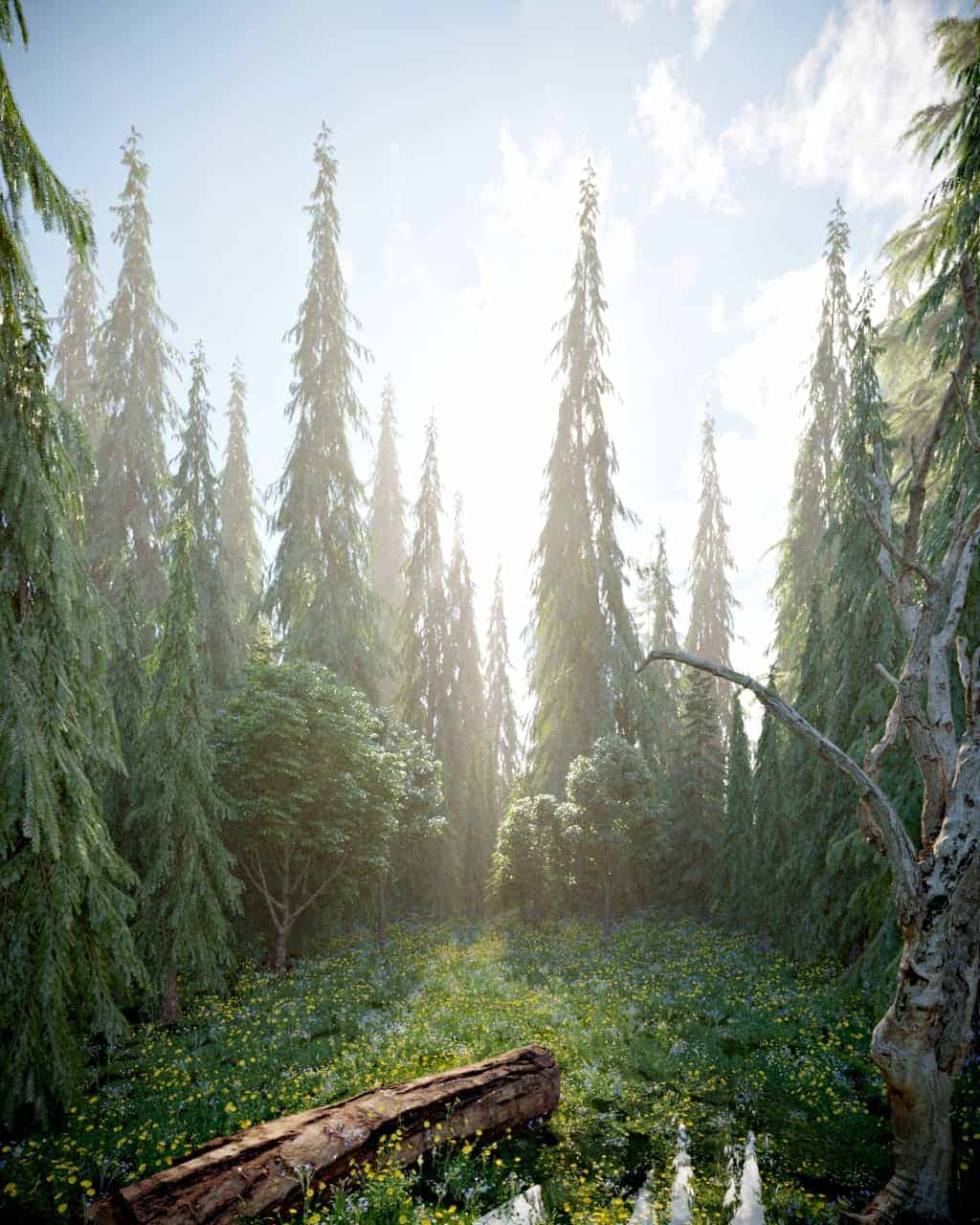 Forest composition | Design Ideas