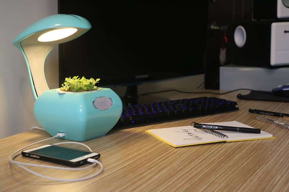 Plant Lamp | Design Ideas