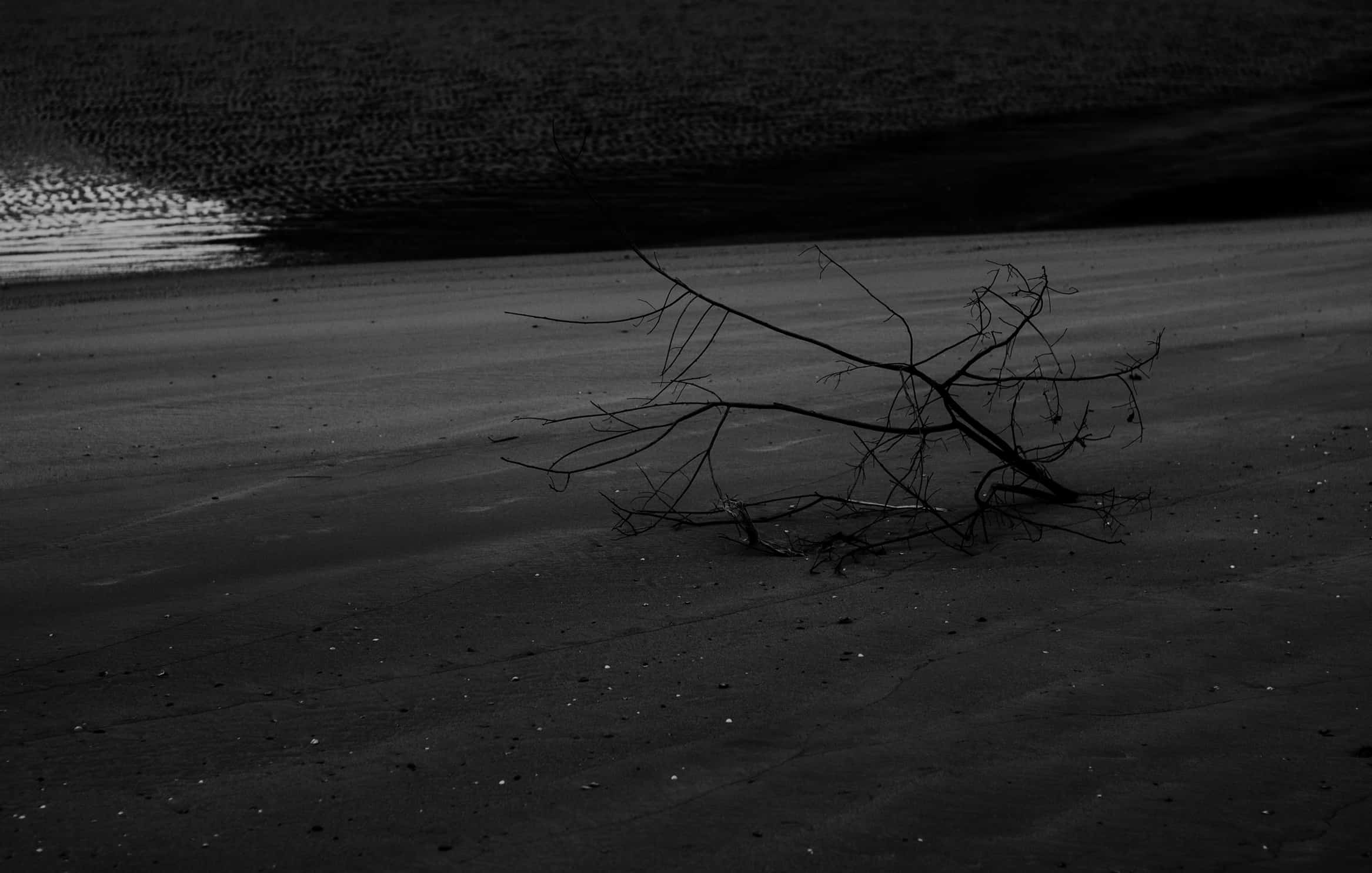 nature. | Design Ideas