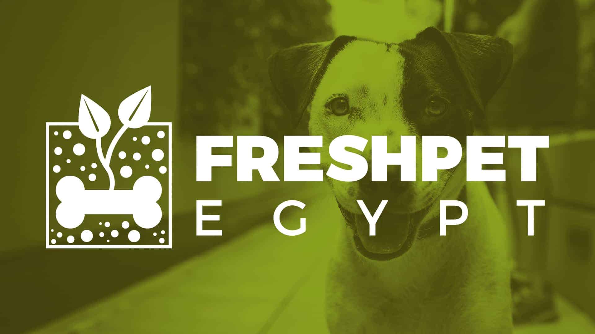 Freshpet Egypt Branding Project | Design Ideas