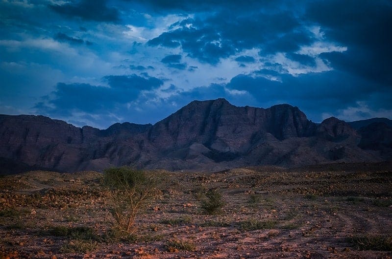 Landscape in Jordan | Design Ideas