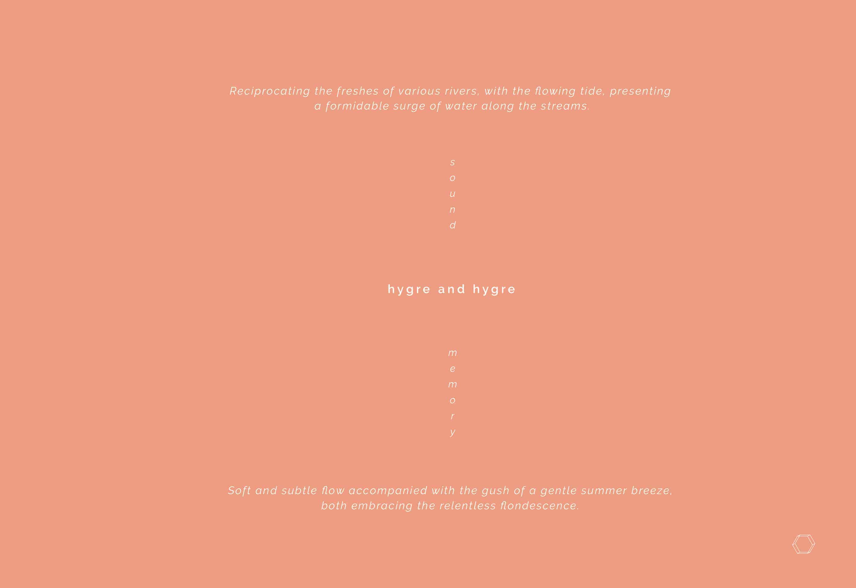 HYGRE | Design Ideas