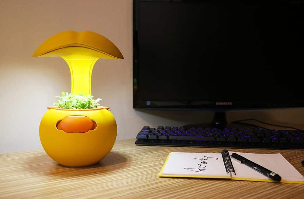 Plant Lamp | Design Ideas