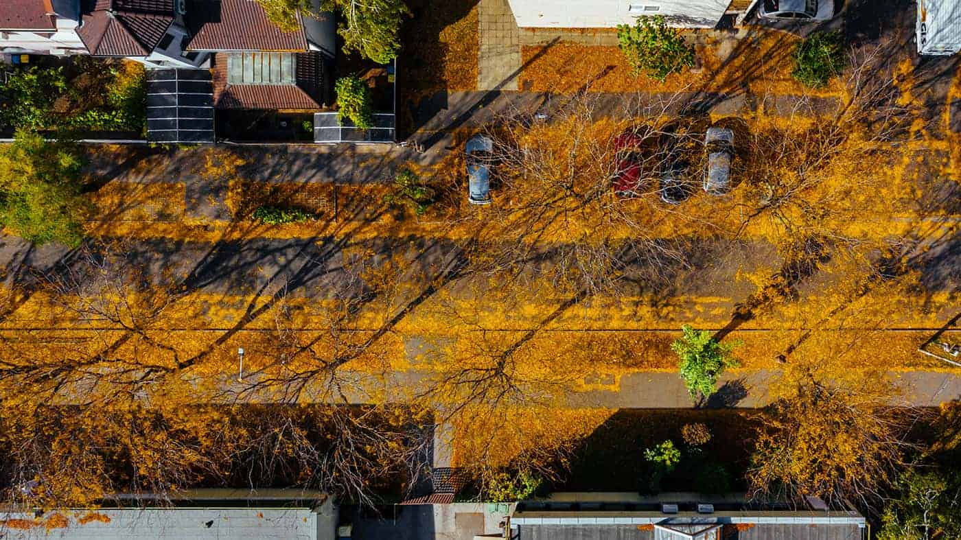 Break out | Design Ideas