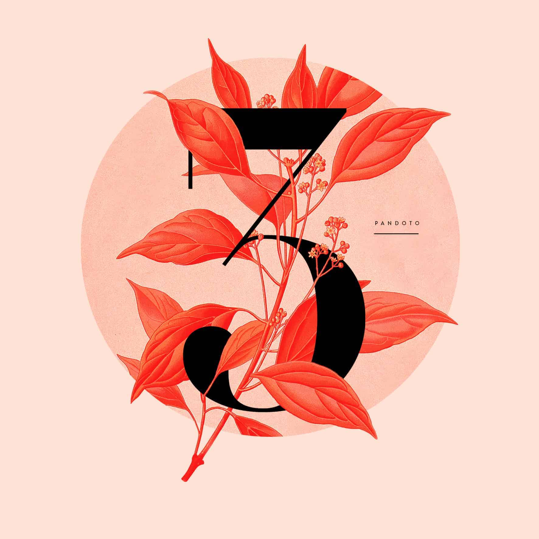 Collage Series | Design Ideas