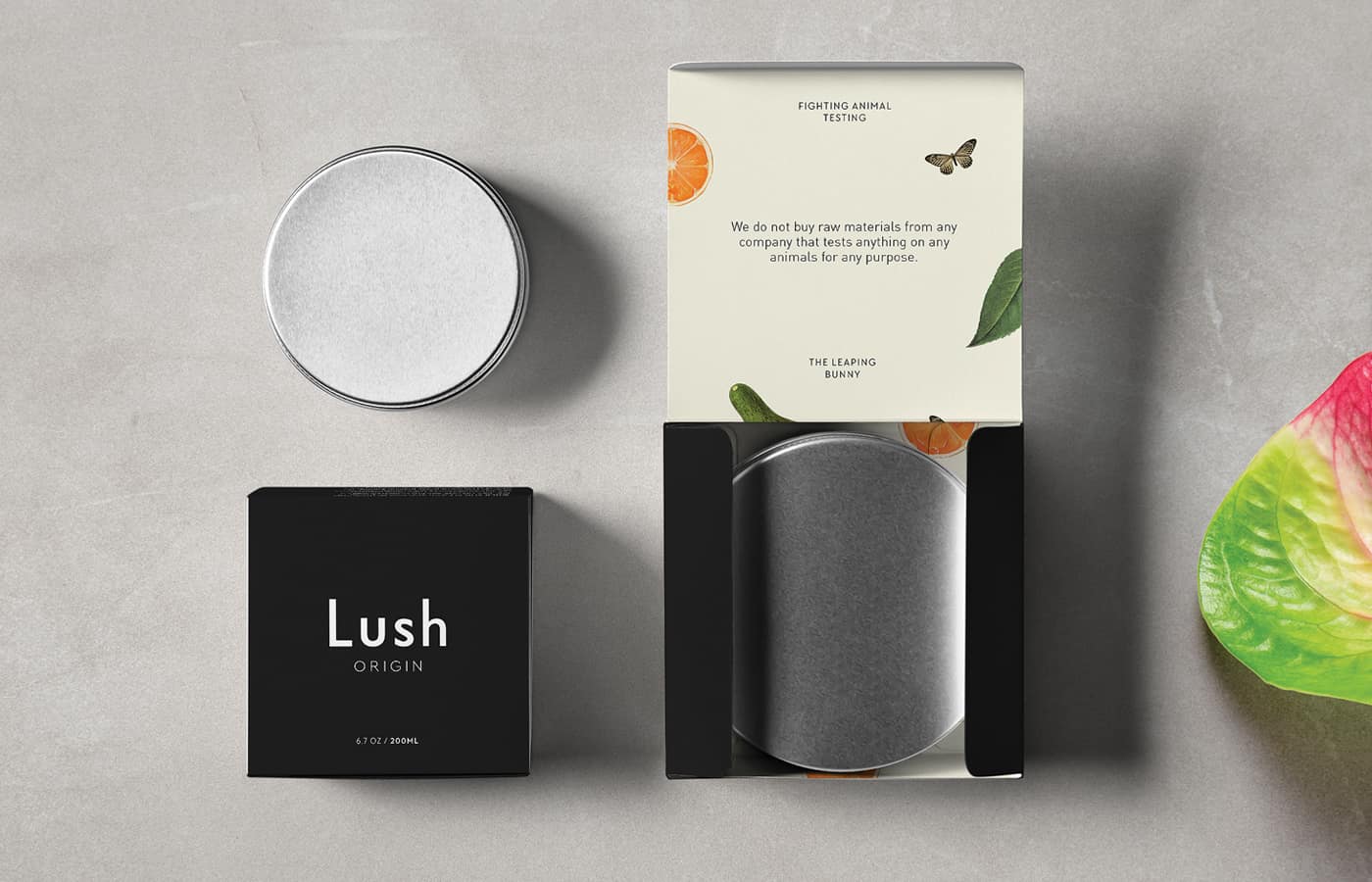 Lush | Design Ideas