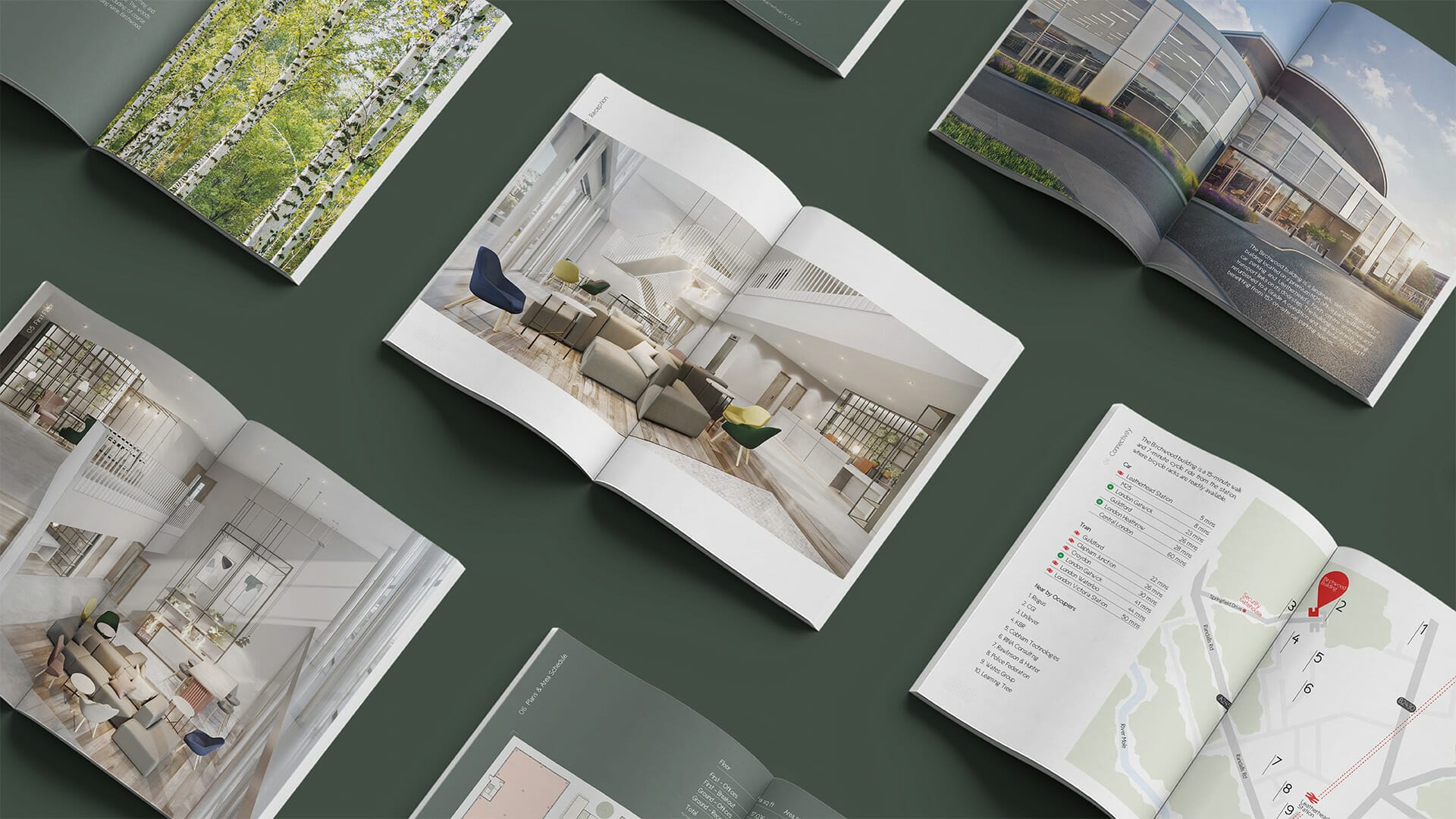 Birchwood Building | Design Ideas