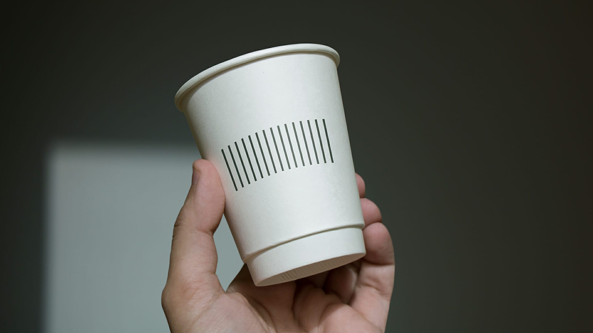 Birchwood Building | Design Ideas