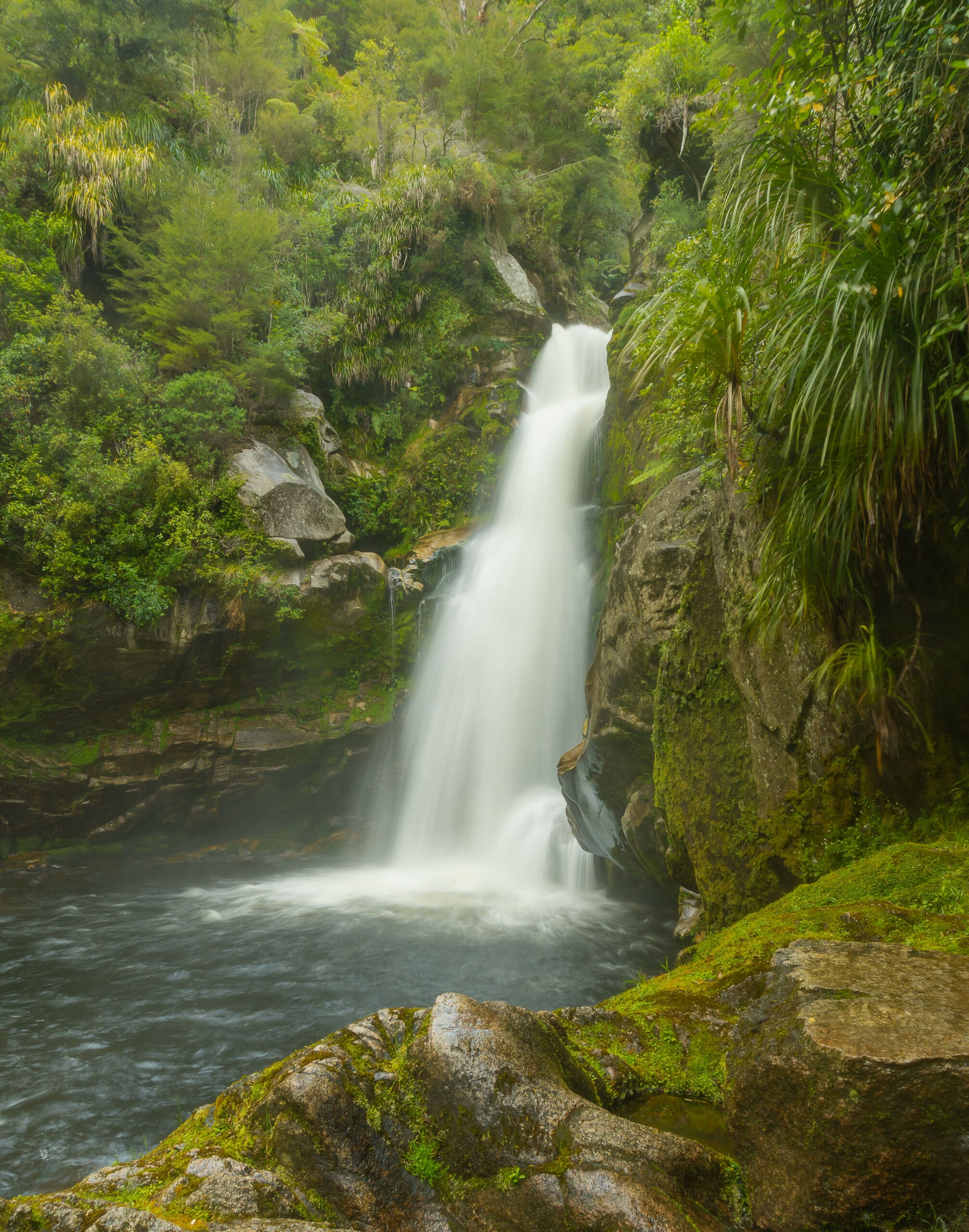 Wainui River | Design Ideas