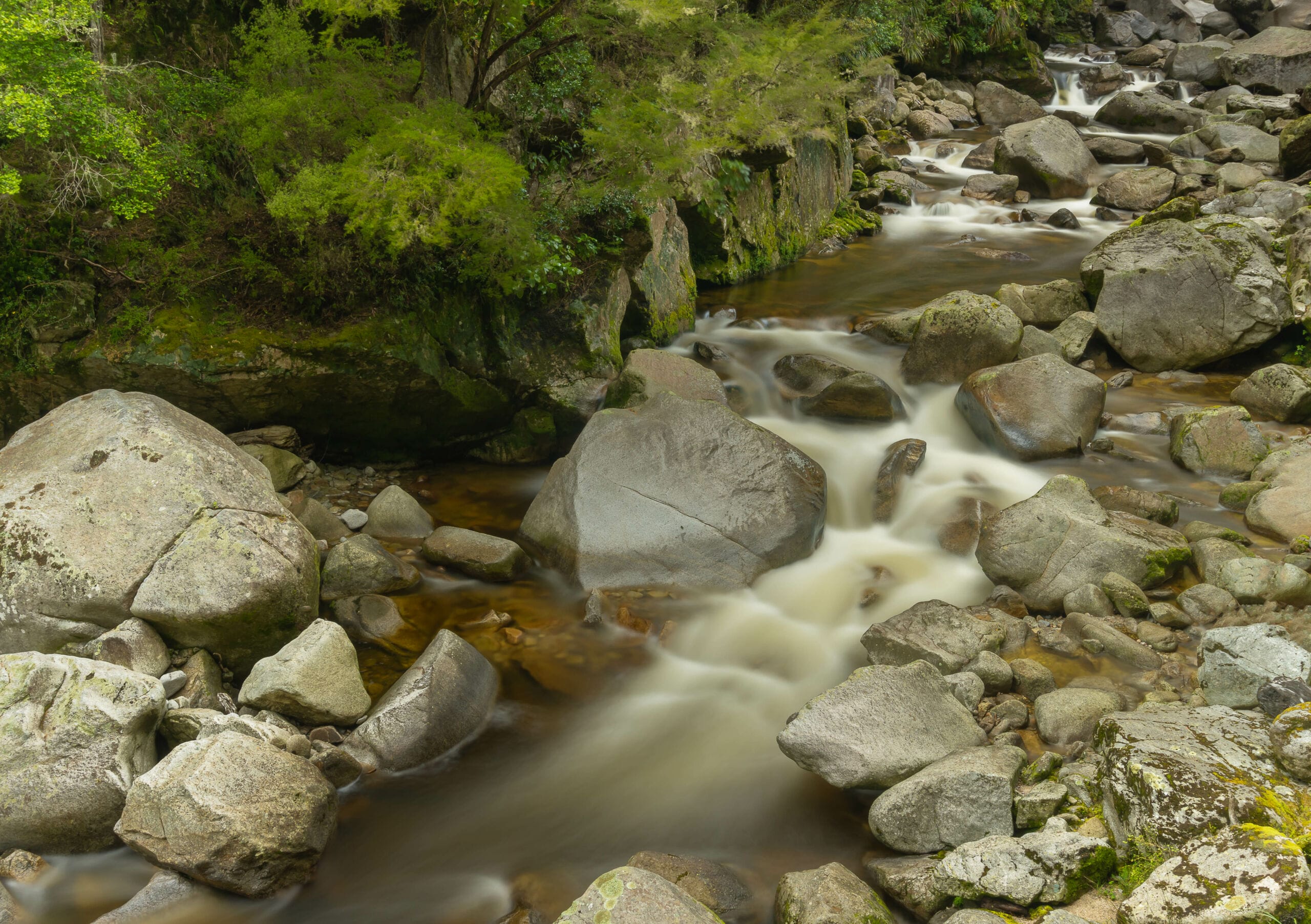 Wainui River | Design Ideas