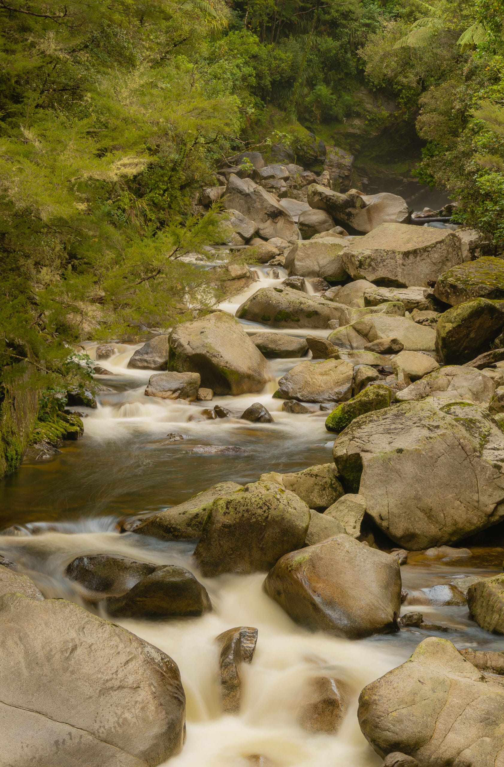 Wainui River | Design Ideas