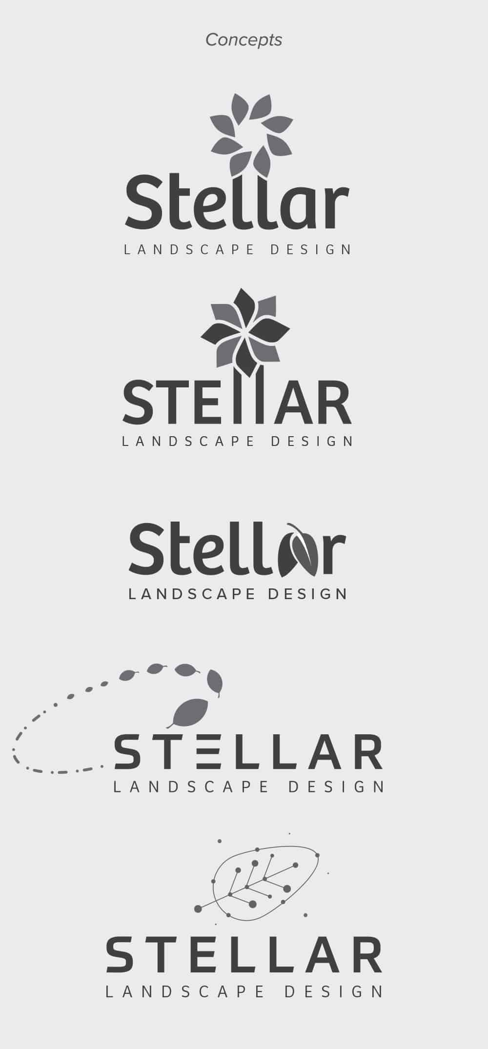 Stellar Landscape Design | Design Ideas