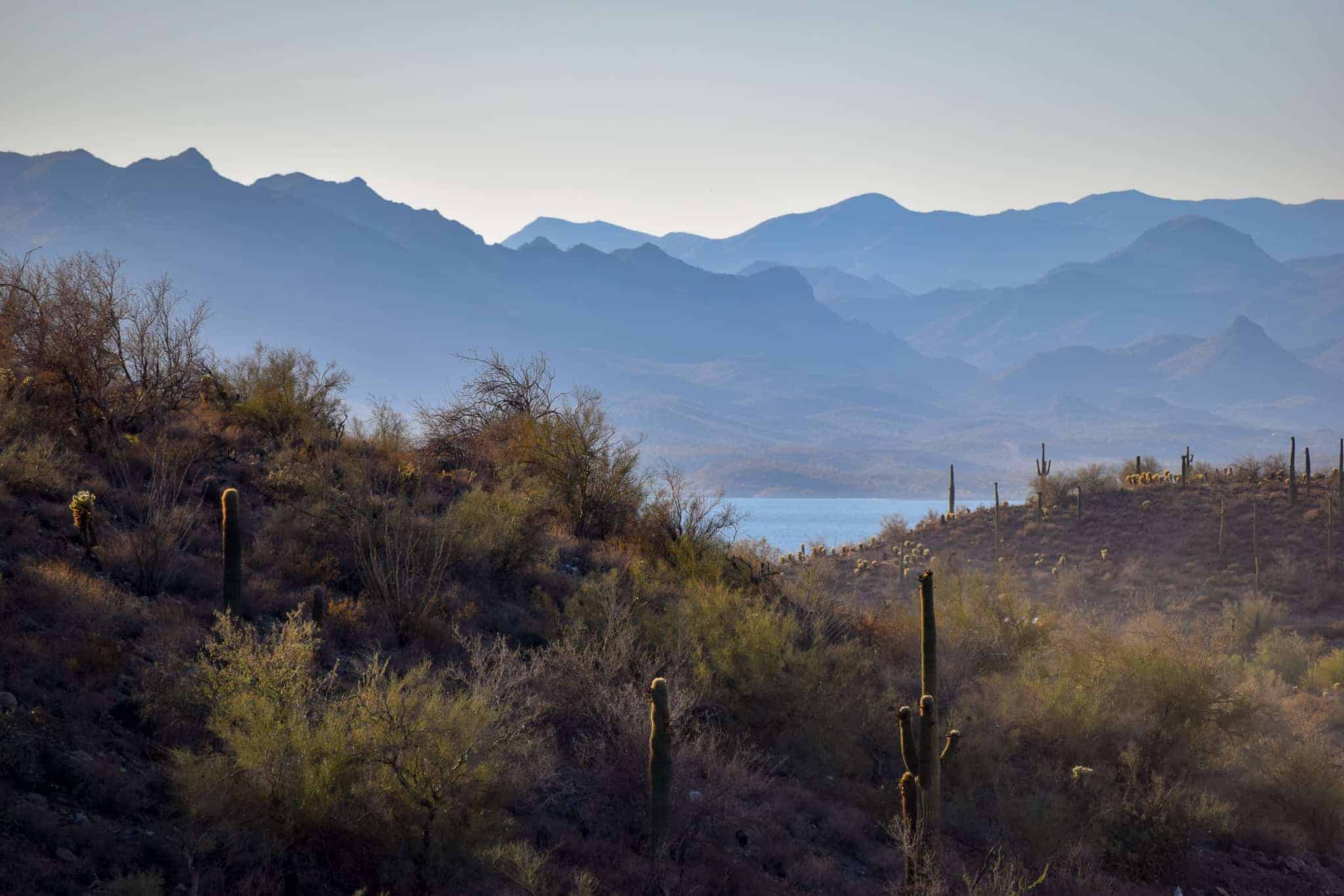 Beauty of Arizona | Design Ideas