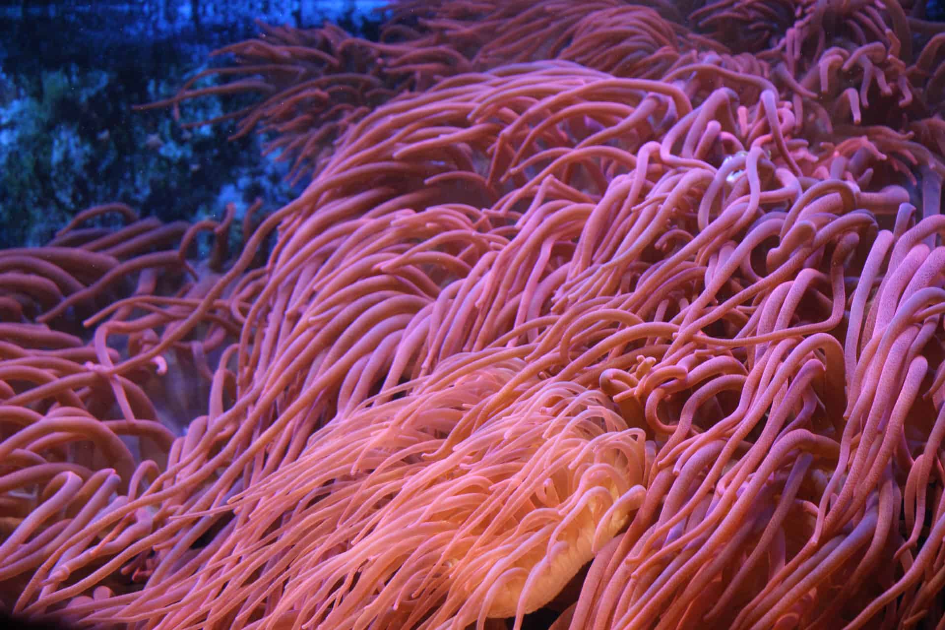 AMSTERDAM ZOO/AQUA | Design Ideas