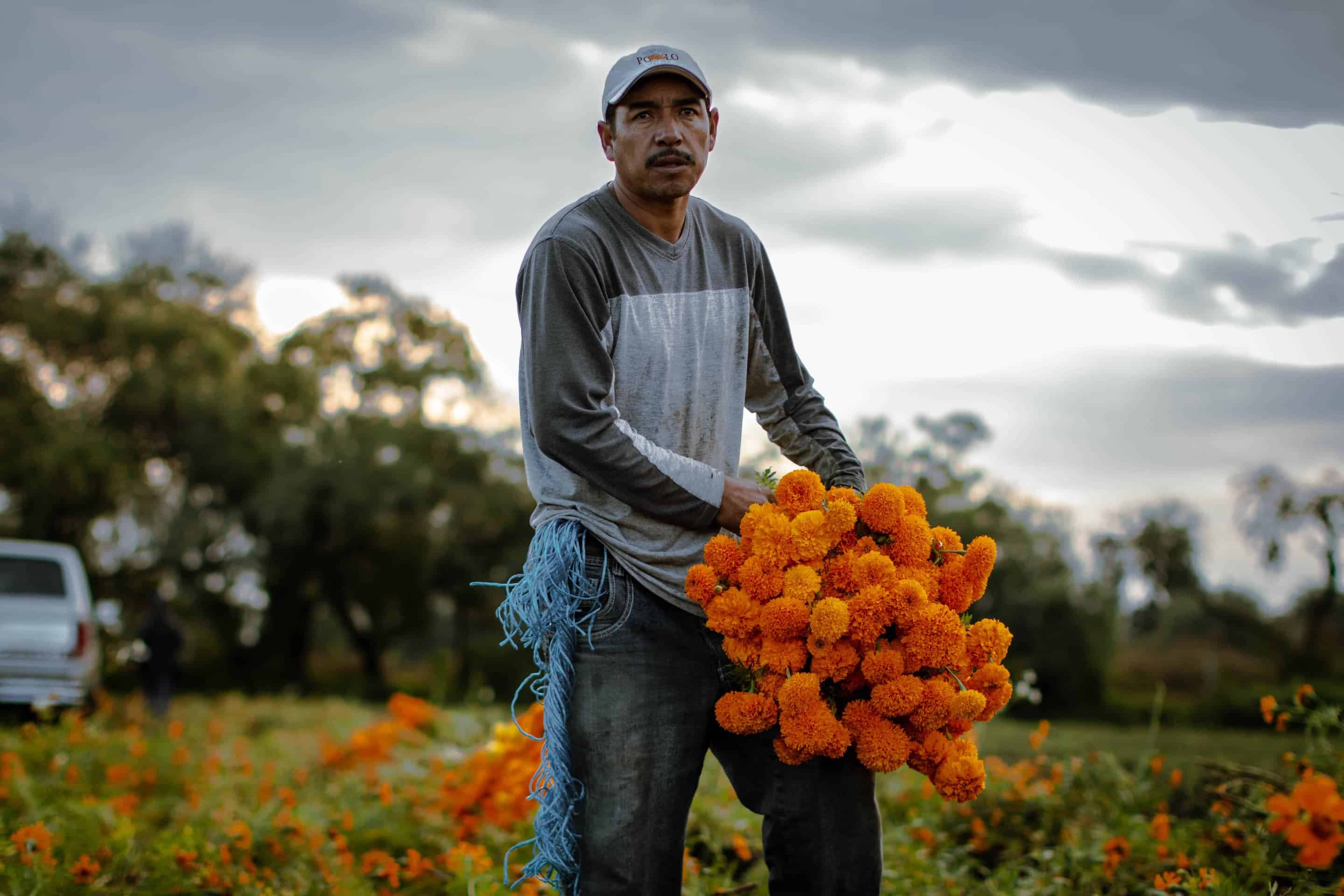 Cempasuchil-man | Design Ideas