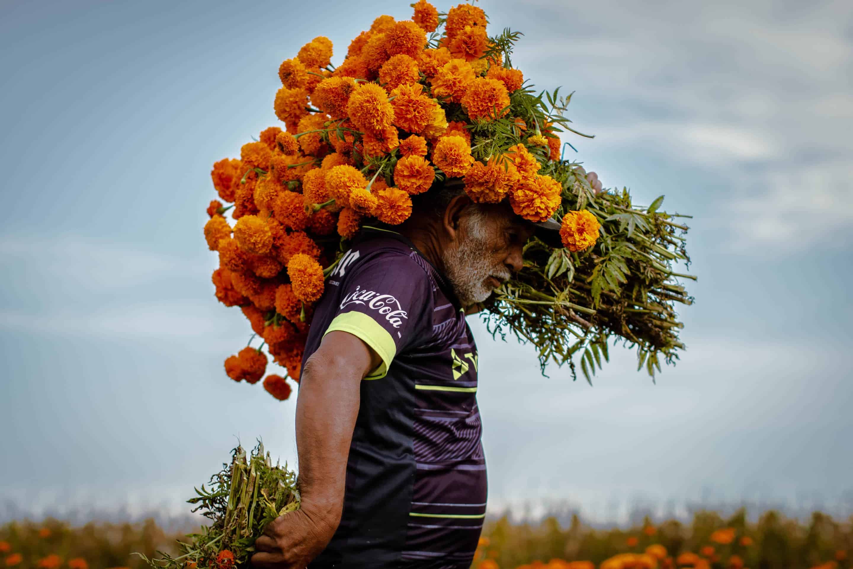 Cempasuchil-man | Design Ideas