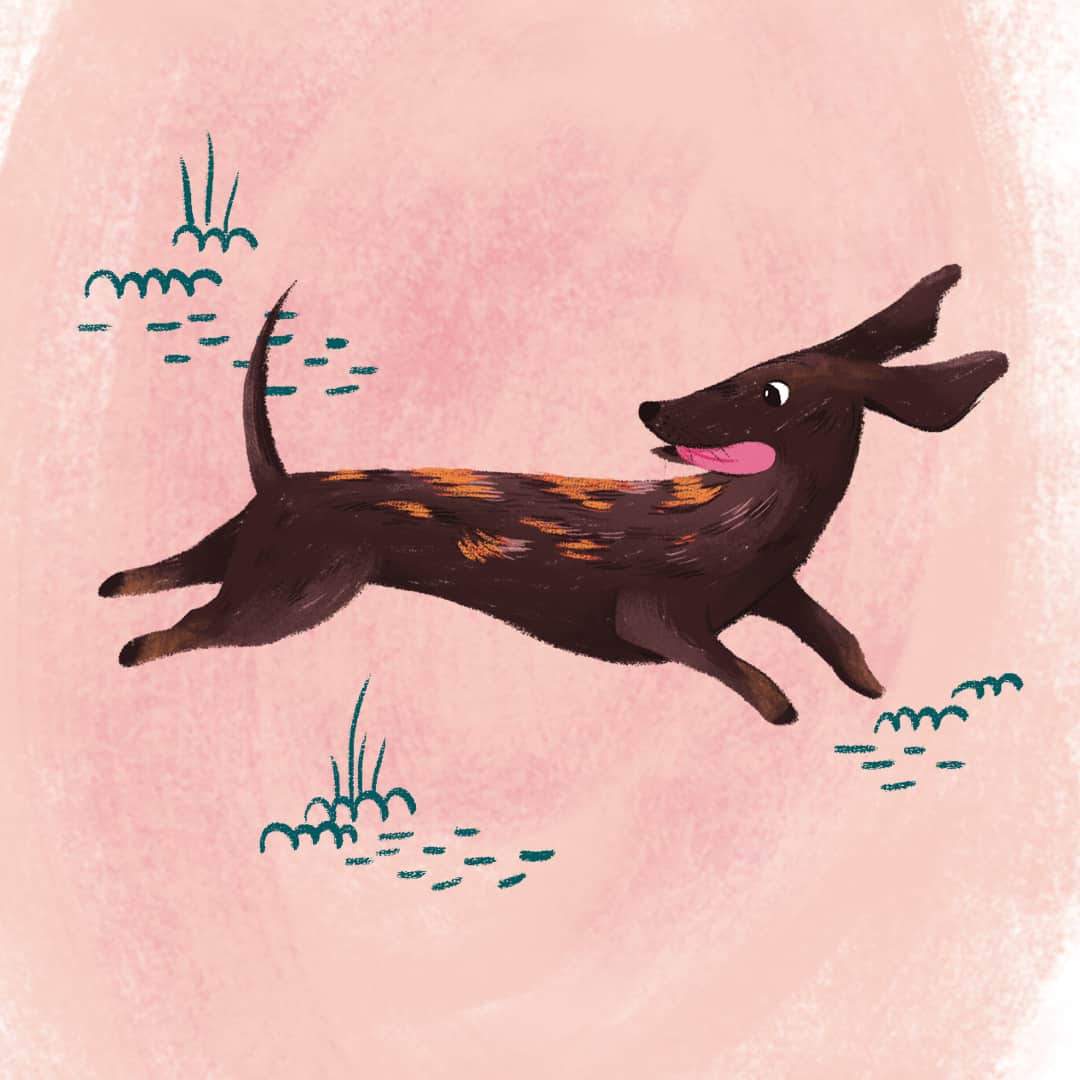 Perro Pastel | Design Ideas