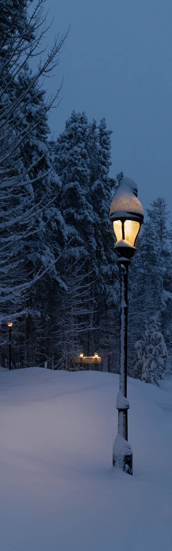 My Home Town | Design Ideas