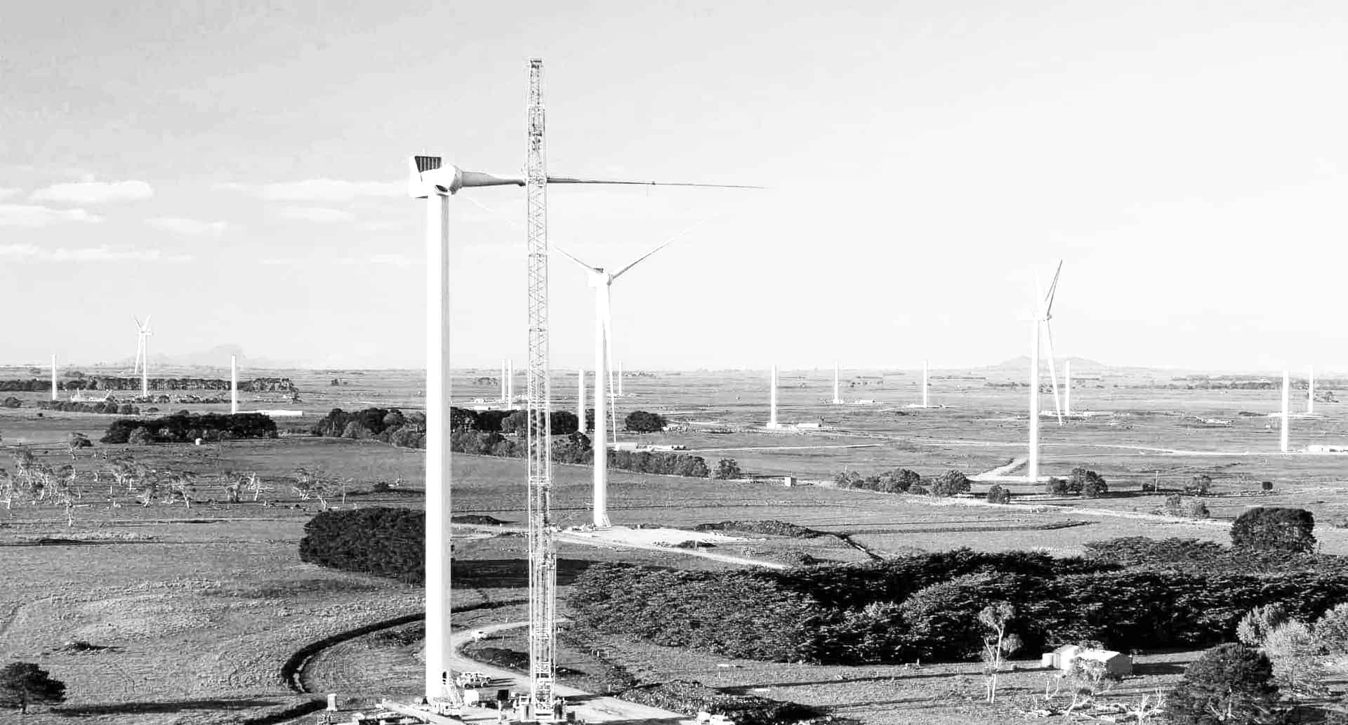 TRI_WIND FARM COMPANY | Design Ideas