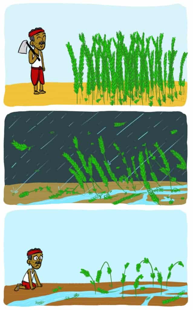 Farmer Problems - StoryOfMyFarm | Design Ideas