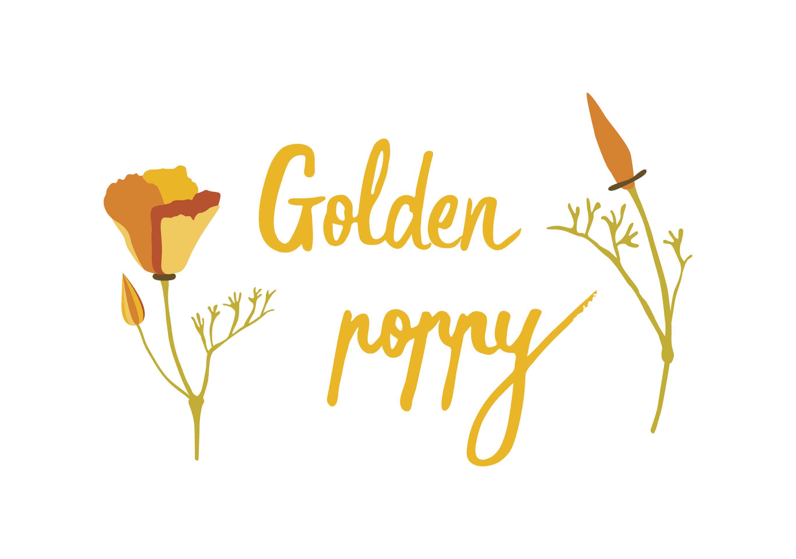 Golden Poppy | Design Ideas