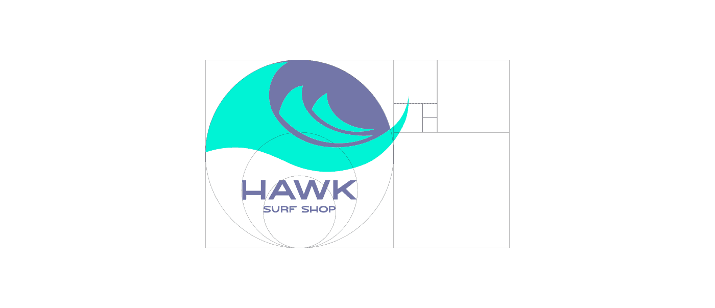 Hawk - Visual Brand | Design Ideas