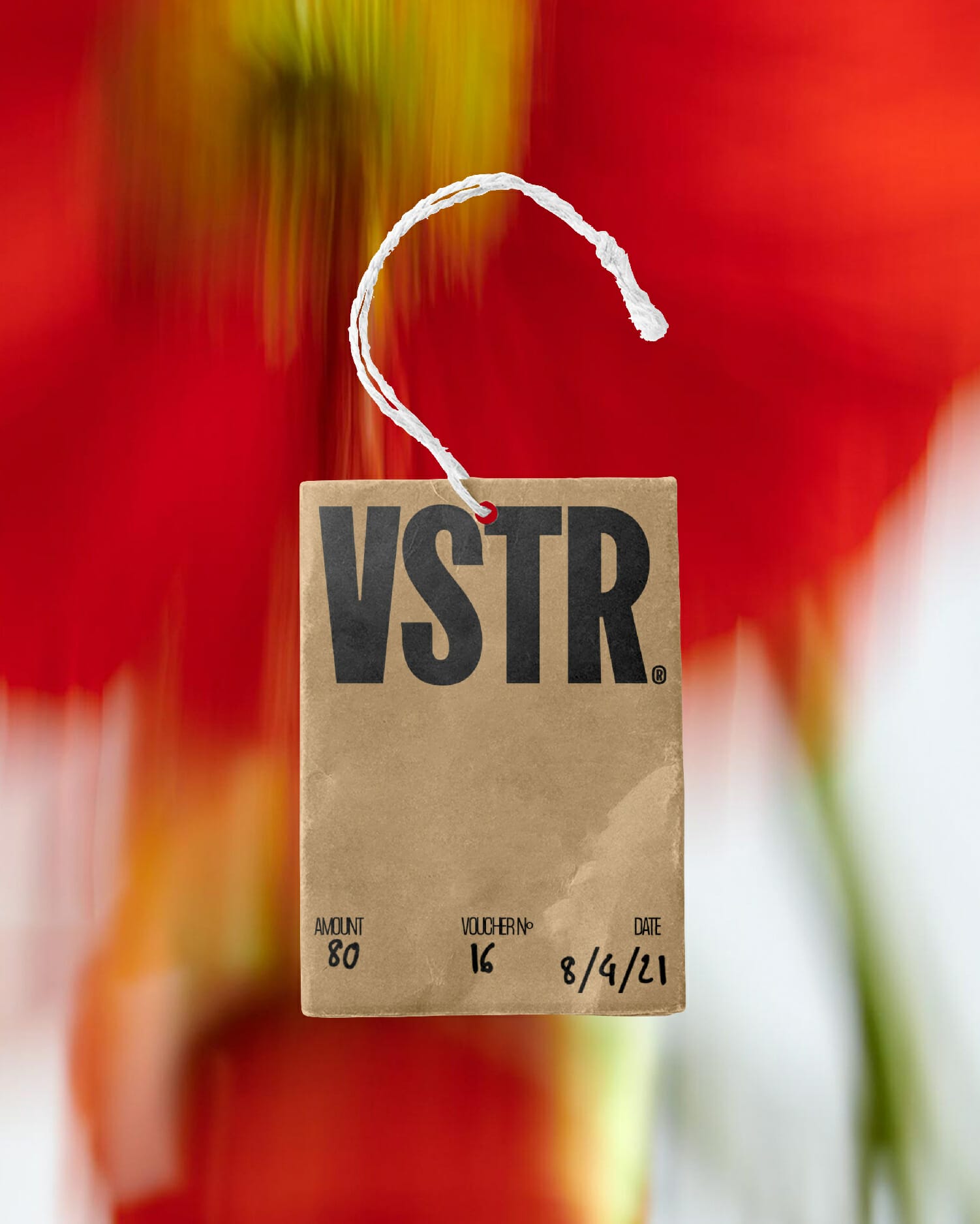 VSTR Essentials | Design Ideas
