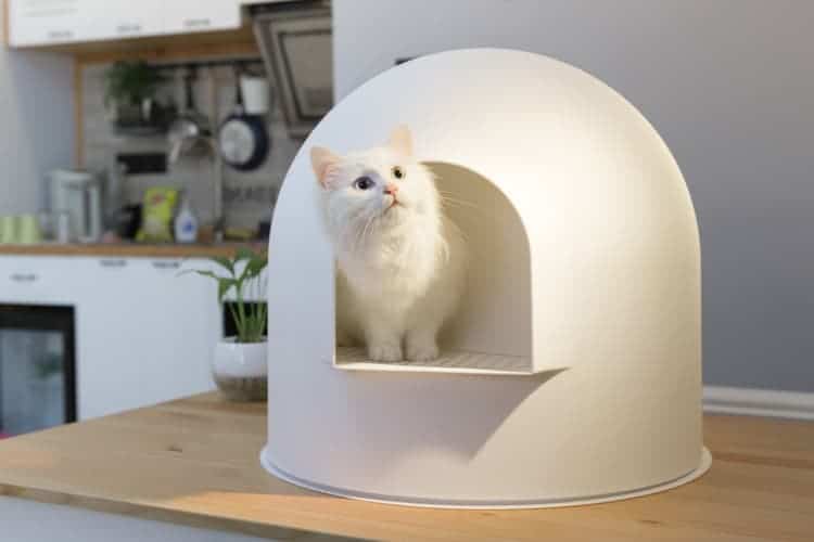 Igloo Cat Litter Box | Design Ideas