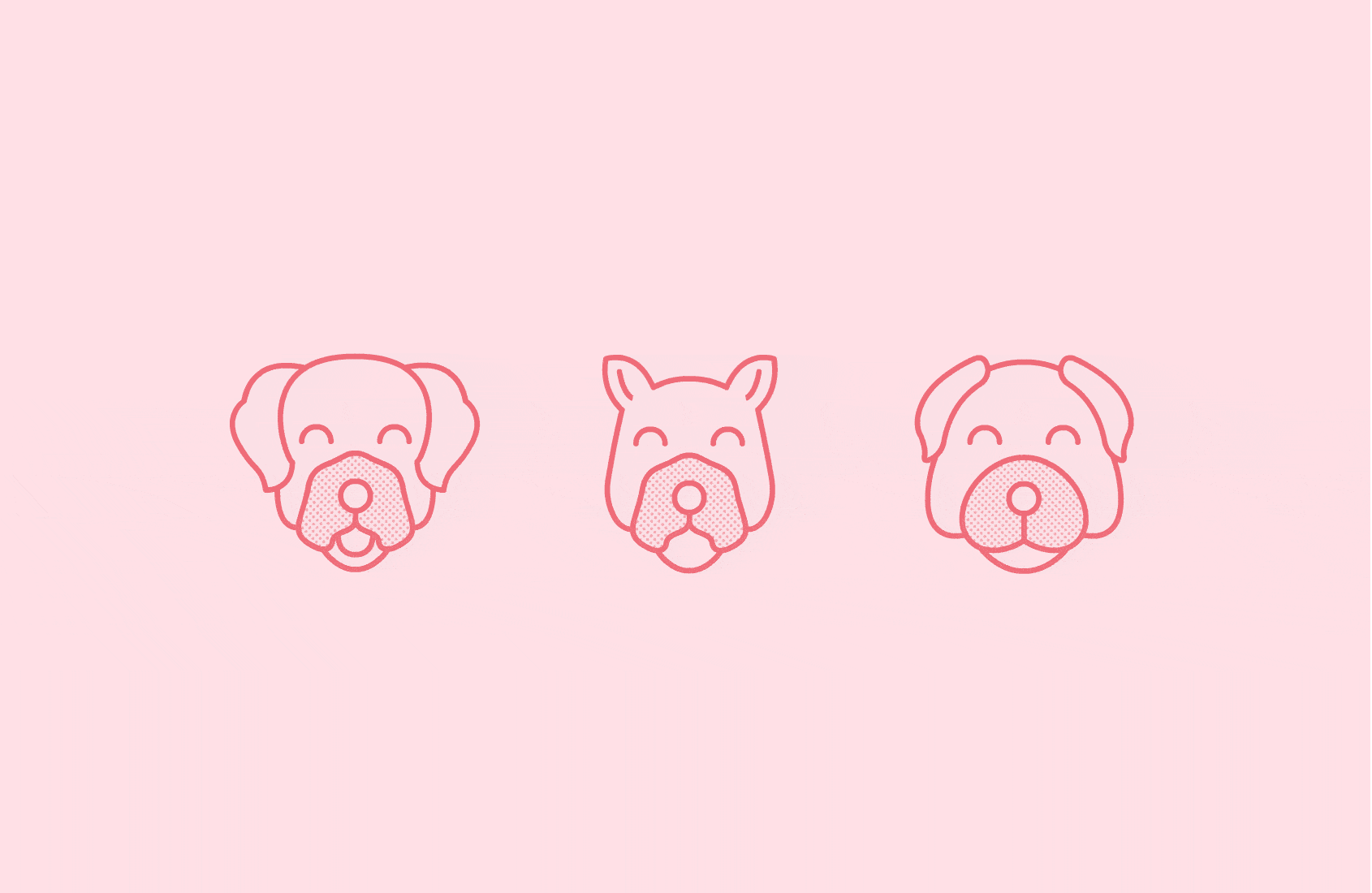 Pooch Made | Design Ideas