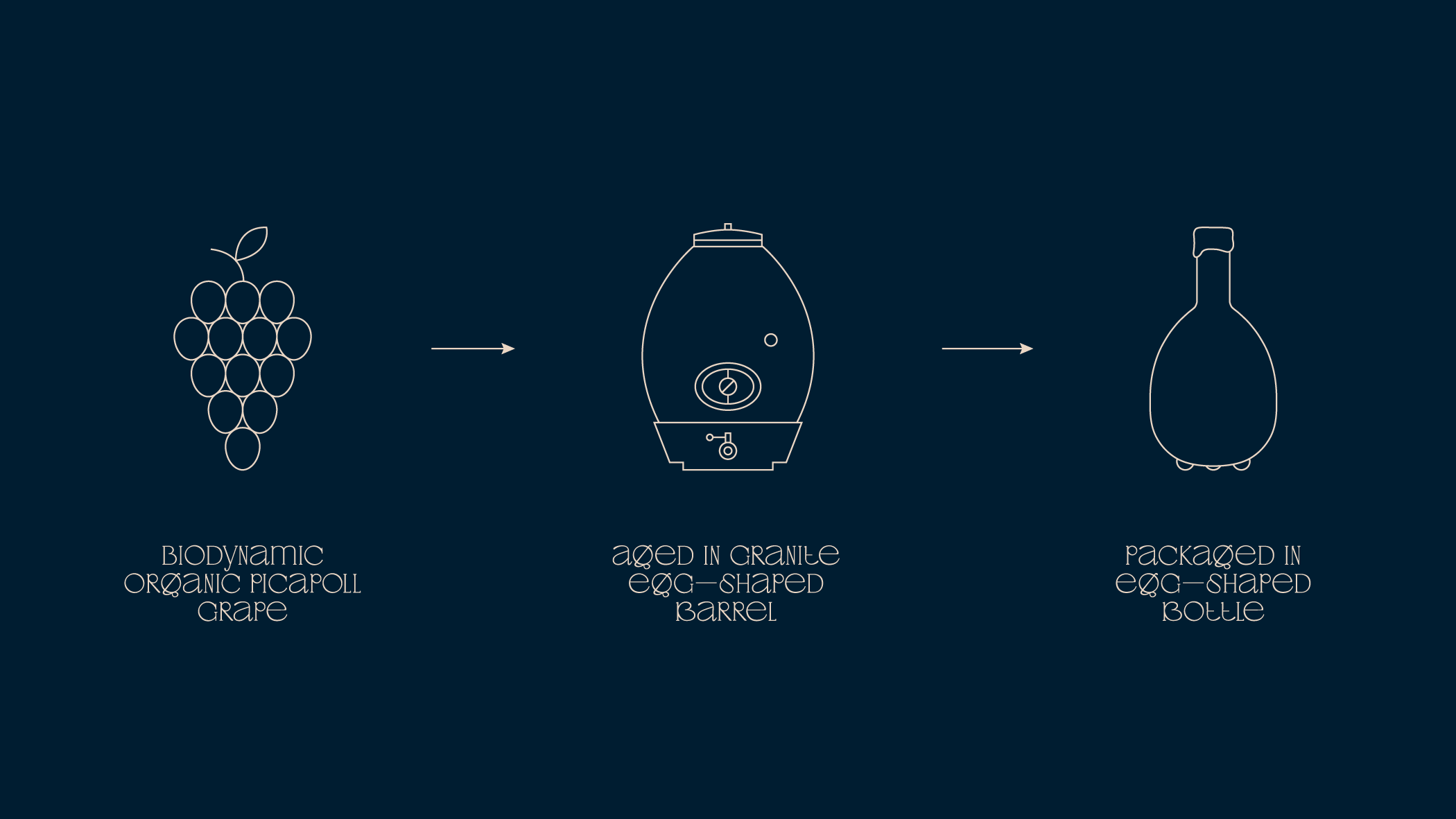 Egg In A Bottle Graph