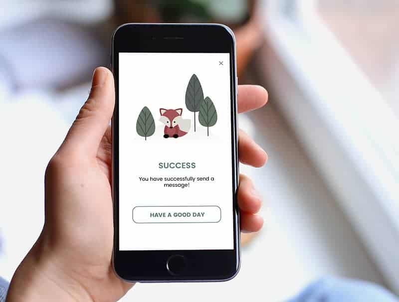 Fox Flash Messages | Design Ideas