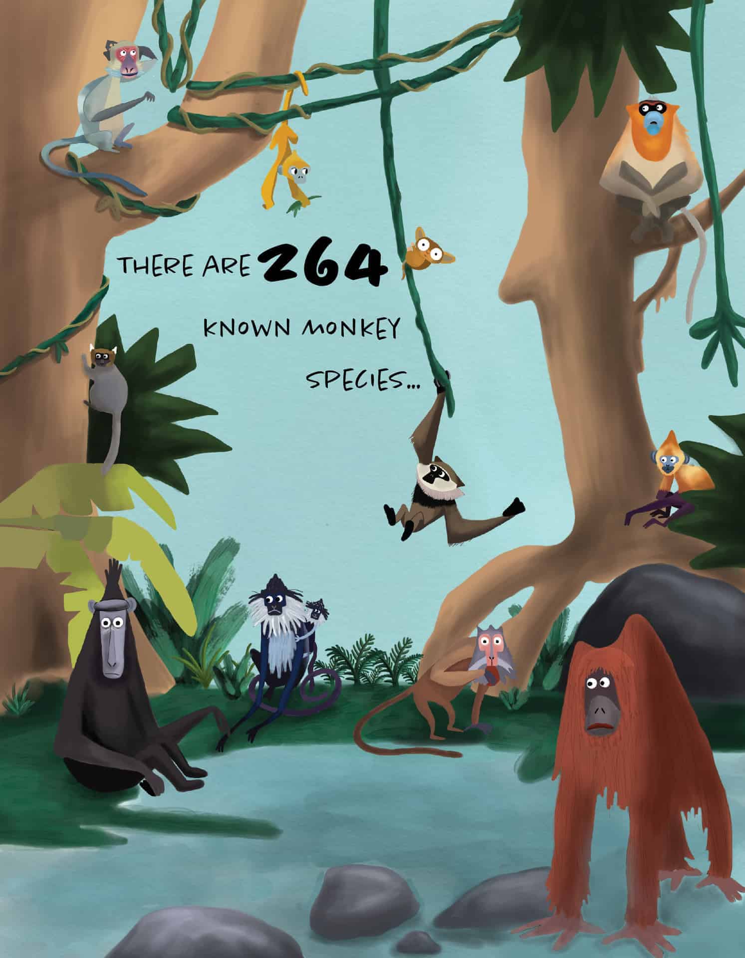 Monkey: A Thematic Wordbook | Design Ideas