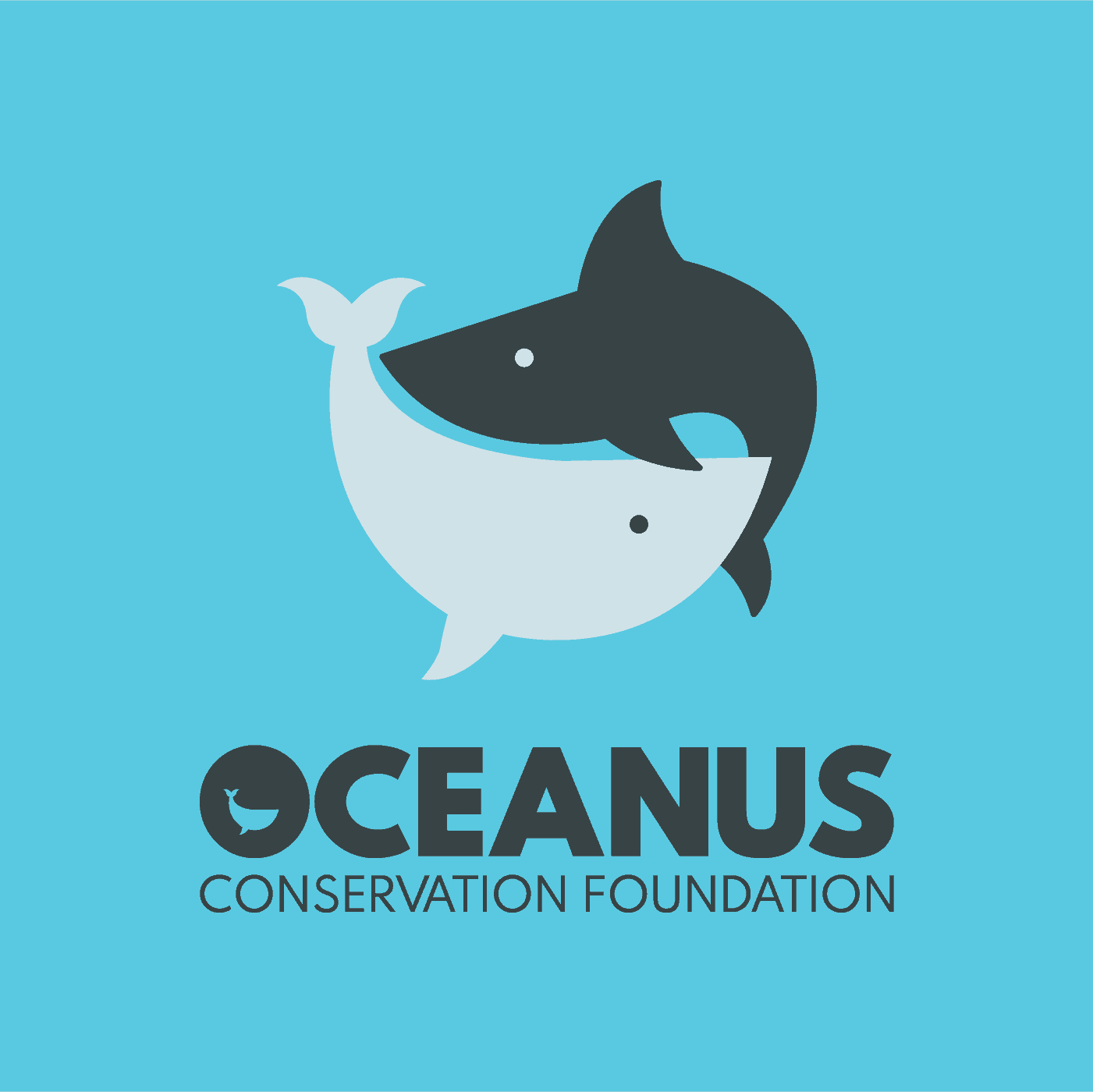 Overfishing Infographic | Design Ideas