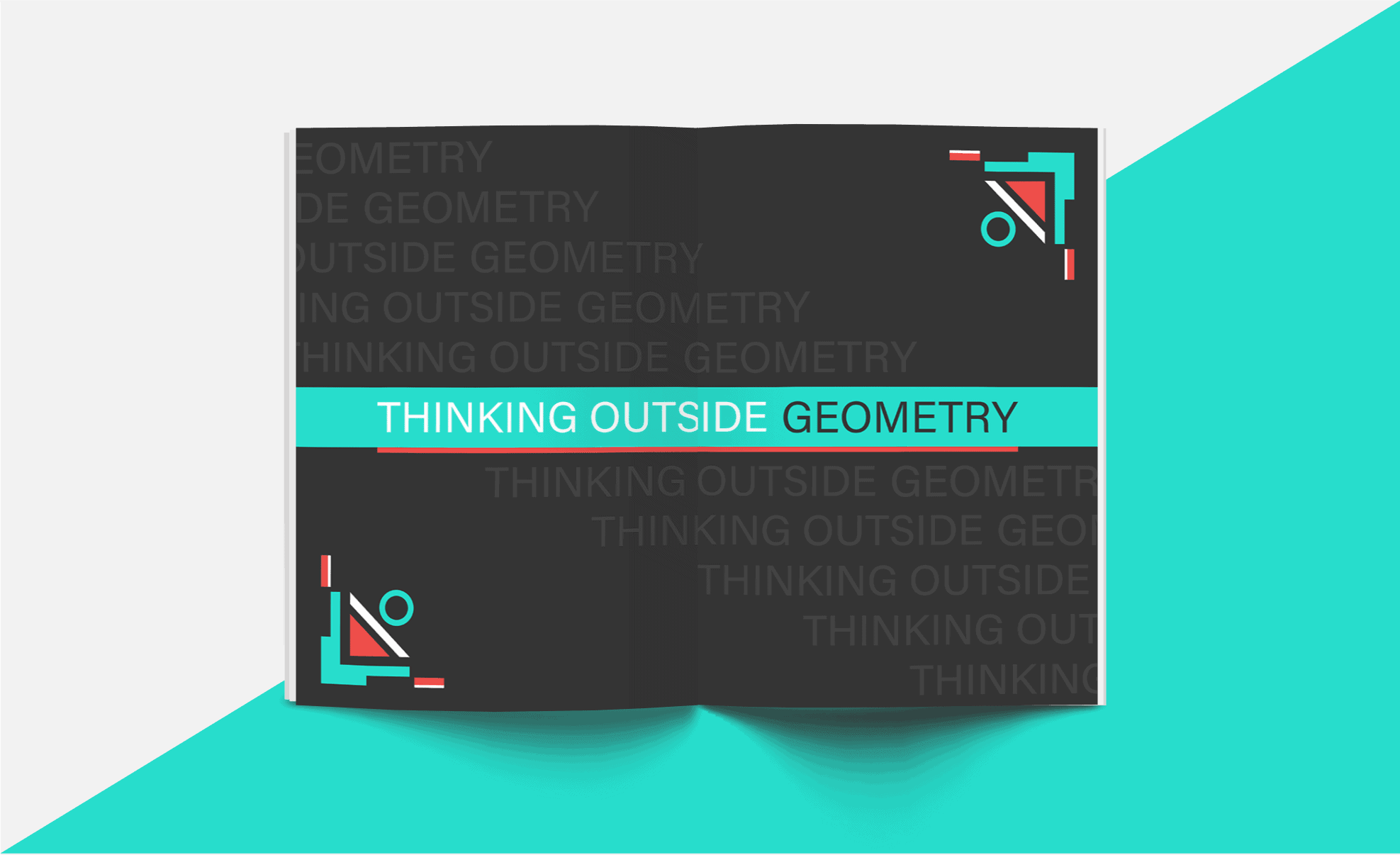 Novice (magazine) | Design Ideas