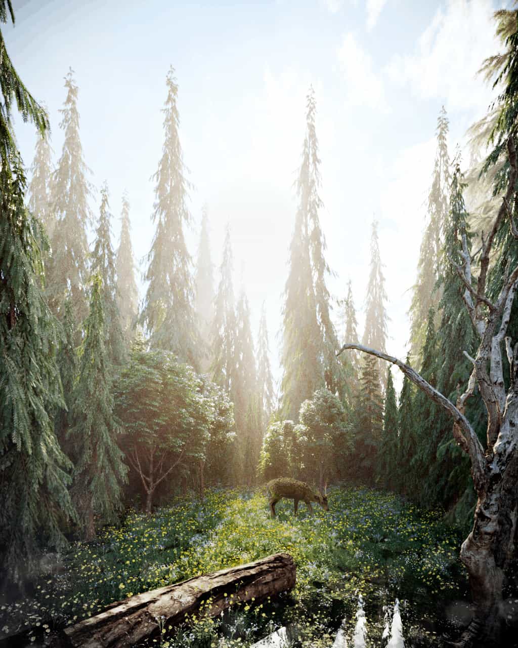 Forest composition | Design Ideas